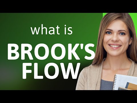 Exploring the Meaning of "Brook's Flow"