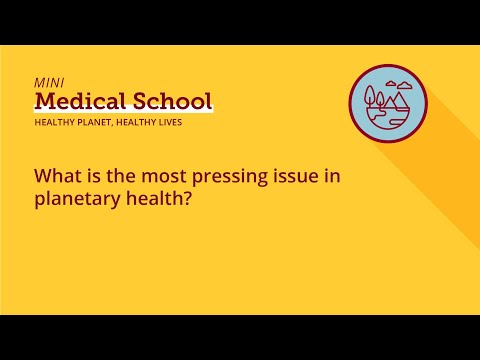 What is the Most Pressing Issue in Planetary Health?