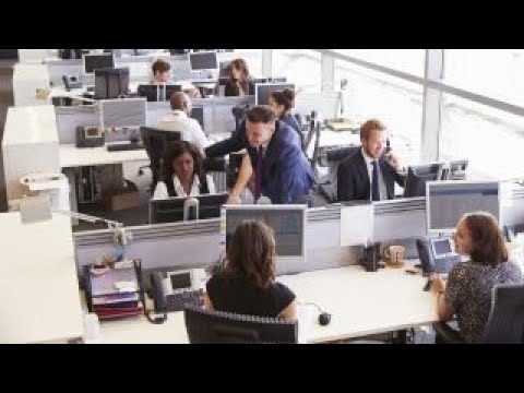 The top five best companies to work for