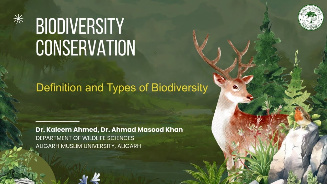 Understanding Biodiversity: Definition and Types | Galaxy.ai