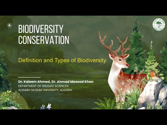 Understanding Biodiversity: Definition and Types | Galaxy