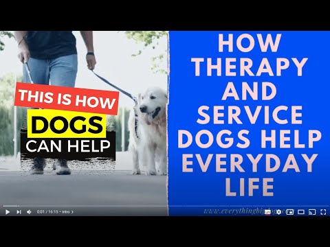 😊 How these Therapy and Service Dogs Help | Everyday Life 🐕🦺❤️