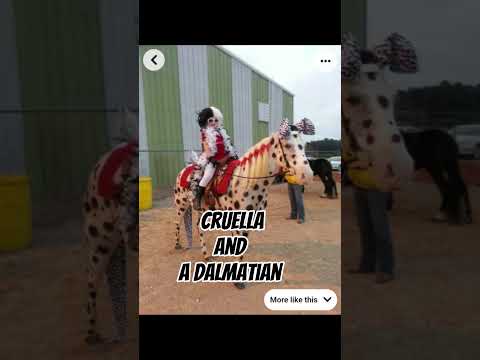 Halloween costume idea's for horse and rider:) | #equestrian | horse.obsession