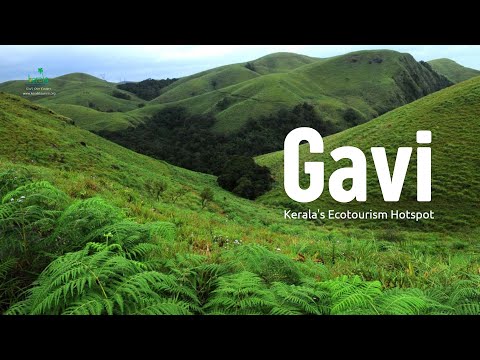 Gavi Eco-tourism in Pathanamthitta | Kerala Tourism