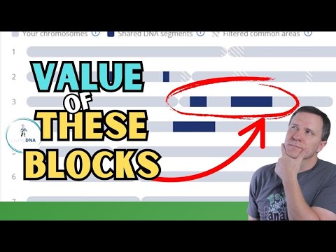 What Do Blocks on LivingDNA's Chromosome Browser Mean? And Why You Need to Upload Now