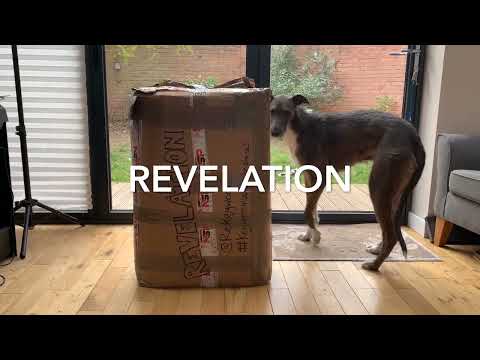 Revelation definition GCSE eduquas RE