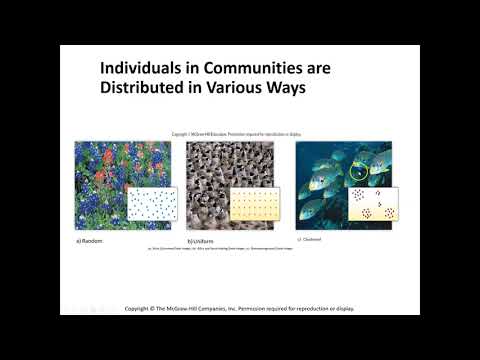Bio 104 Biological Communities Lecture