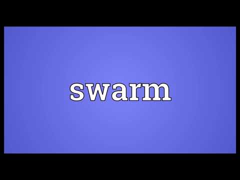 Swarm Meaning
