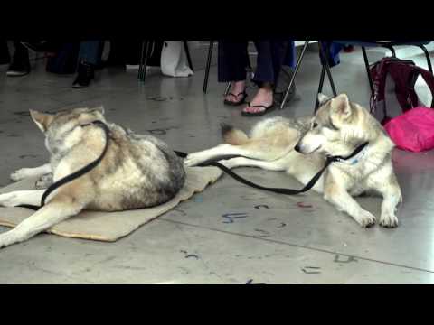 AI Art Part 2: What kind of world do we want? | flayrah