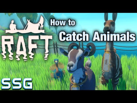 Steam Community :: Video :: RAFT How to Catch Animals SeeShellGaming
