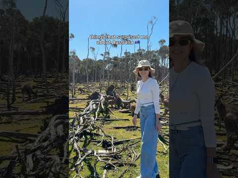 things that surprised me about Australia 🇦🇺