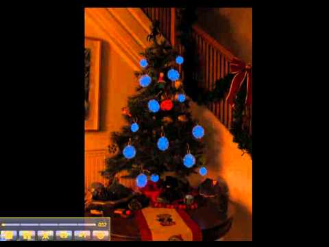 Microbiology Christmas Tree – luminescent bacteria, giant microbes, and ...