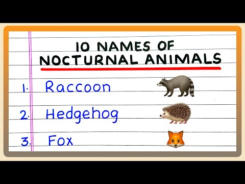 Names of Nocturnal Animals | 10 Nocturnal Animals
