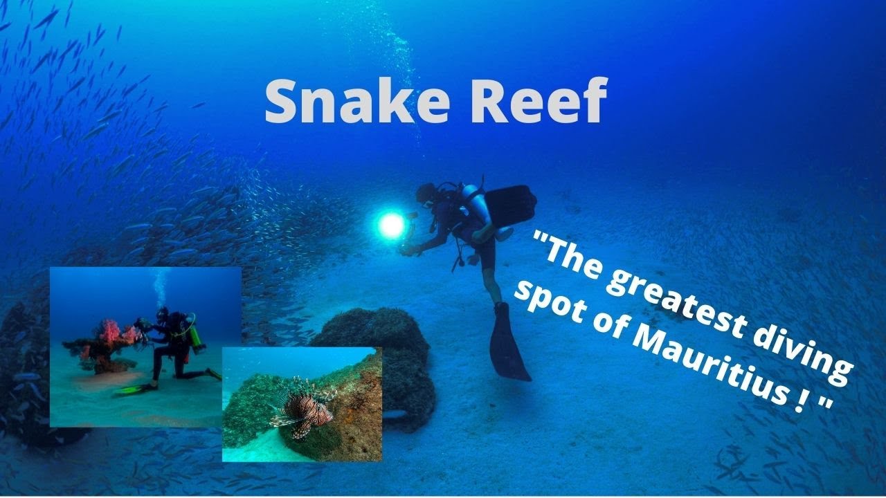 Scuba Diving Mauritius ( sundiver )