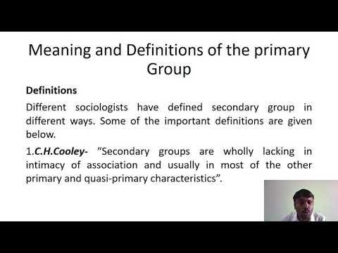 Meaning and Definitions of Secondary Groups