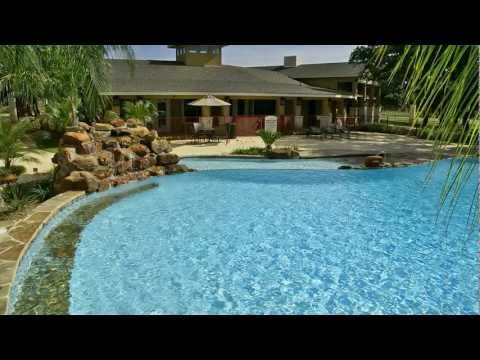 Inground Custom Gunite Swimming Pools in Austin Texas