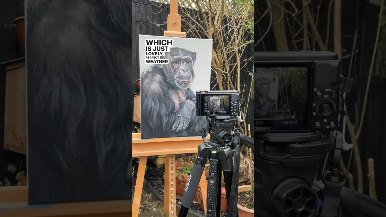 Photographing my paintings! #animals #artist #nature