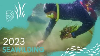 Rewilding Scotland - Appropedia, the sustainability wiki