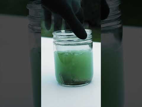 Dissoudre une MONTRE dans de l'ACIDE !