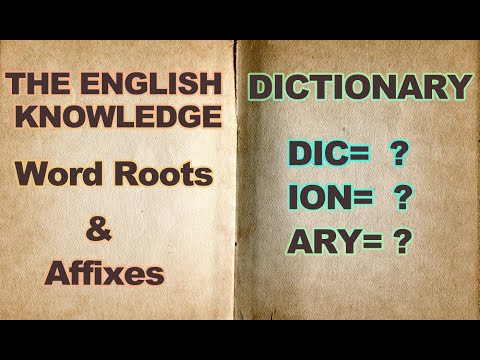 Why are there so many words in the dictionary｜ The English Word Roots & Affixes