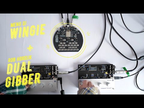 Rob Hordijk I'm Gibber 2023 | Reverb