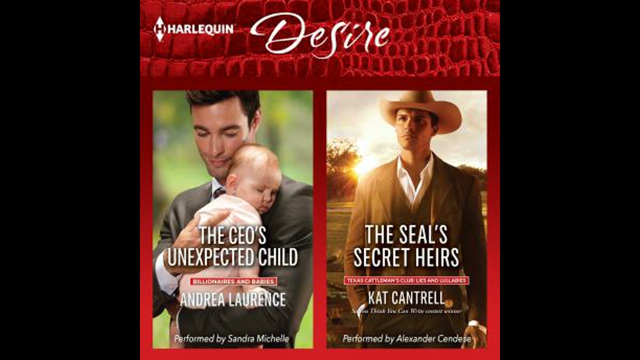 CEO's Unexpected Child & The SEAL's Secret Heirs - Andrea Laurence