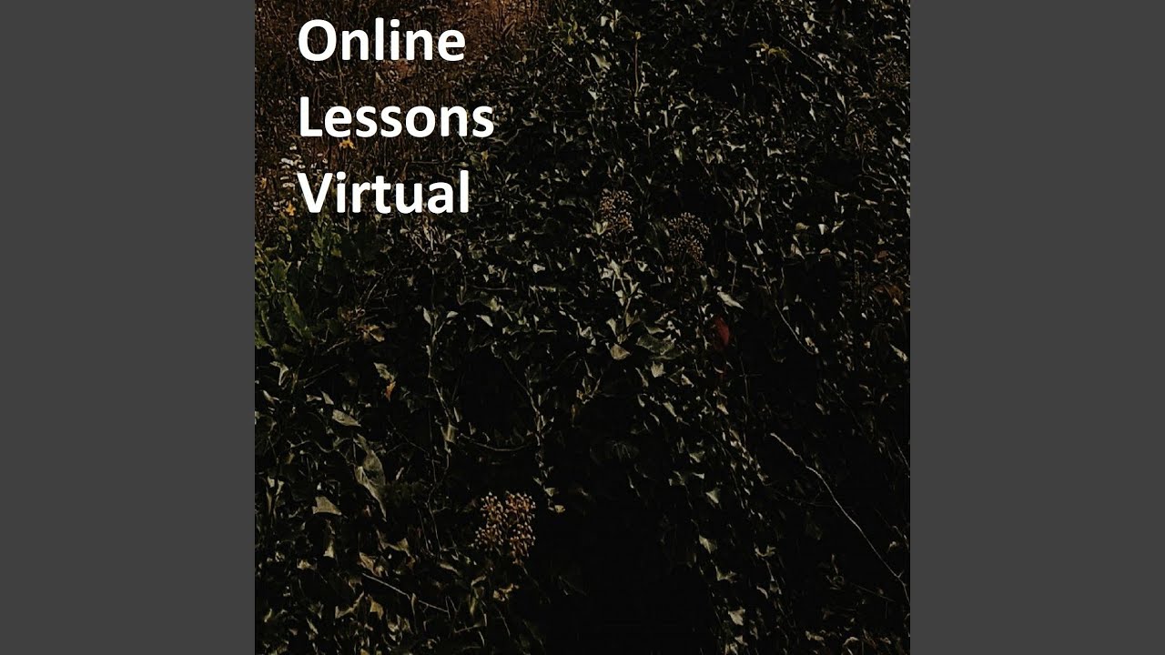 Online Lessons Virtual