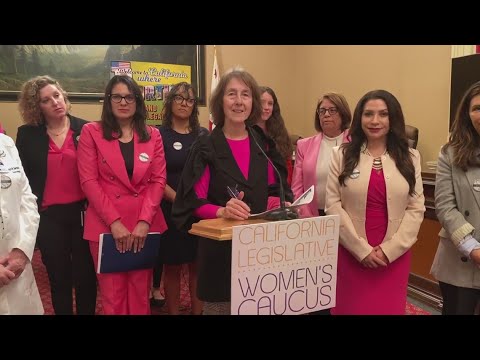 California lawmakers unveil latest package of abortion-related bills