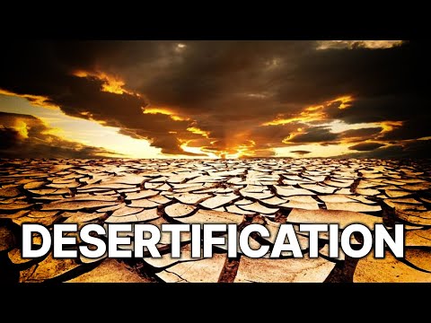 The Earth's Furies: Desertification | Confronting the Global Threat