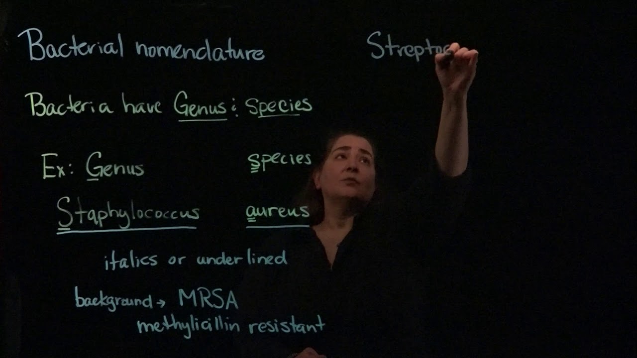 Bacterial Nomenclature