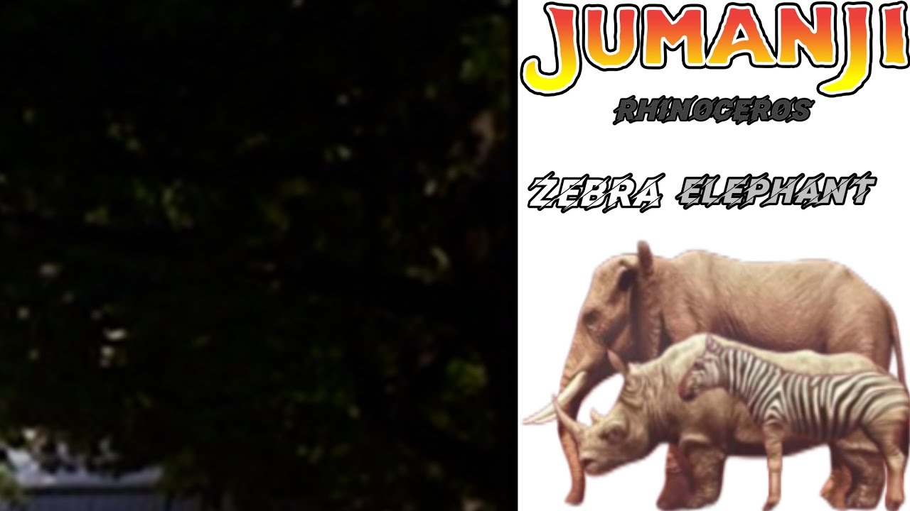 Jumanji (1995) Rhinoceros Zebras and Elephants Screen Time 