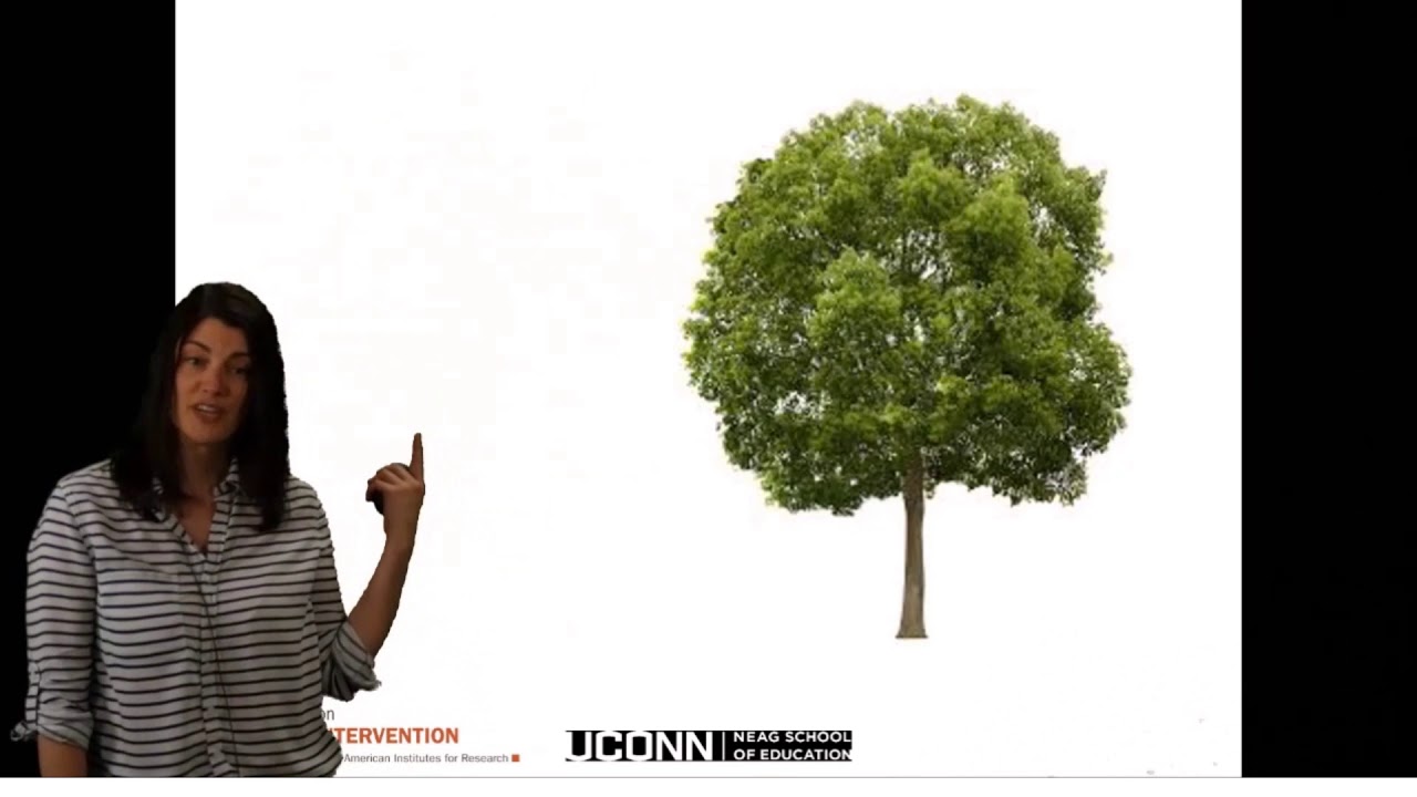 Lead teacher demonstration: Ineffective modeling