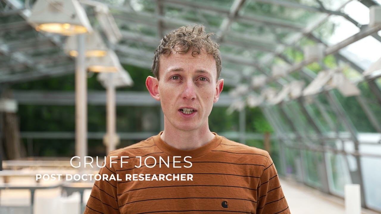 How scientists are innovating circular, sustainable farming systems in Wales and Ireland