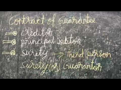 Contract of guarantee surety guarantor gives guarantee / creative studio English / cse