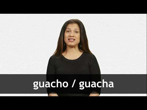 English Translation of “GUACHO” | Collins Spanish-English Dictionary