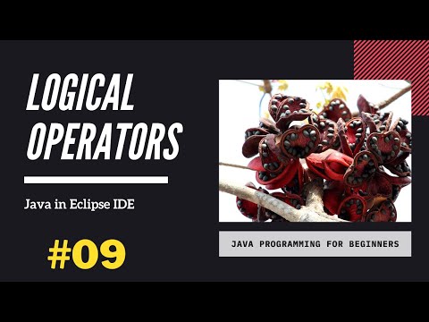 Logical Operator | Java Tutorial for Beginners using Eclipse