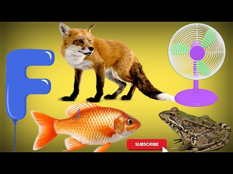 Words That Start With F | F For Fish 🐠 | Popi's Pre School |