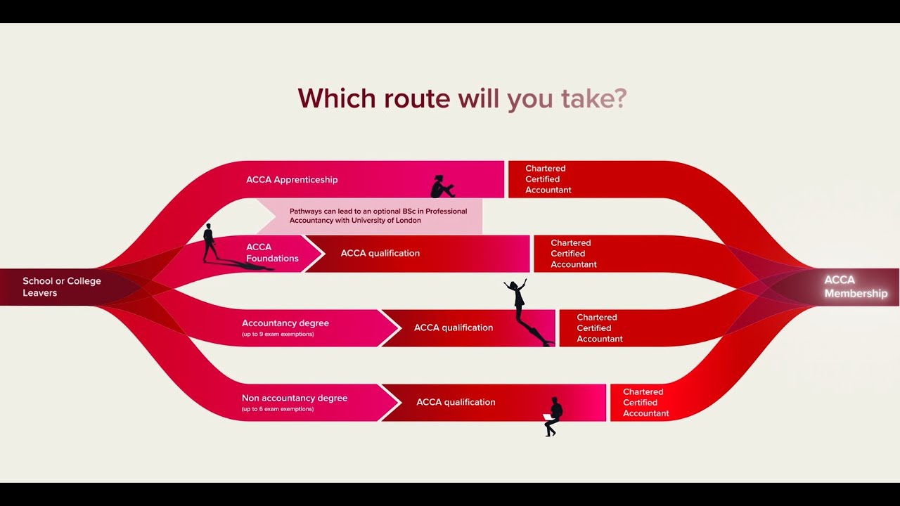 Pathways into accountancy with ACCA