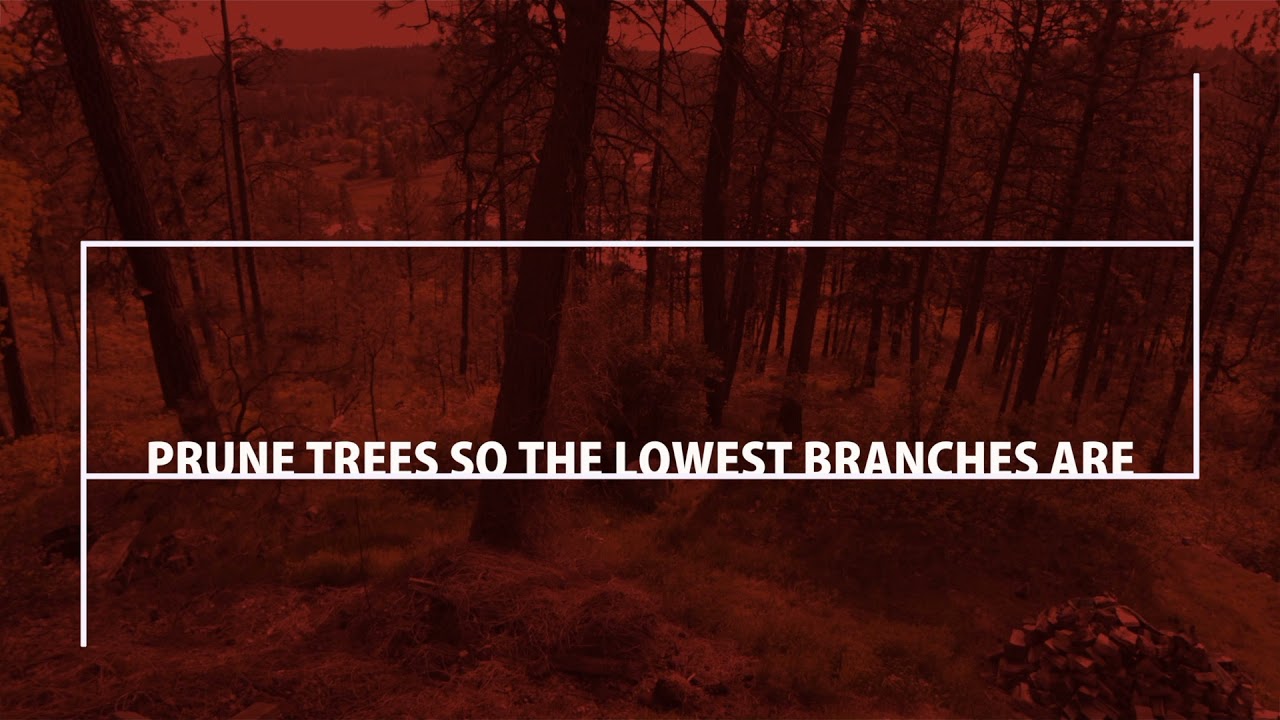 Wildfire Preparedness PSA
