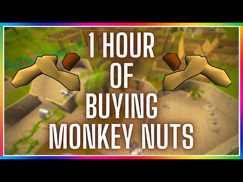 OSRS - Buying Monkey Nuts | Testing OSRS Wiki Money Making Methods | 2021