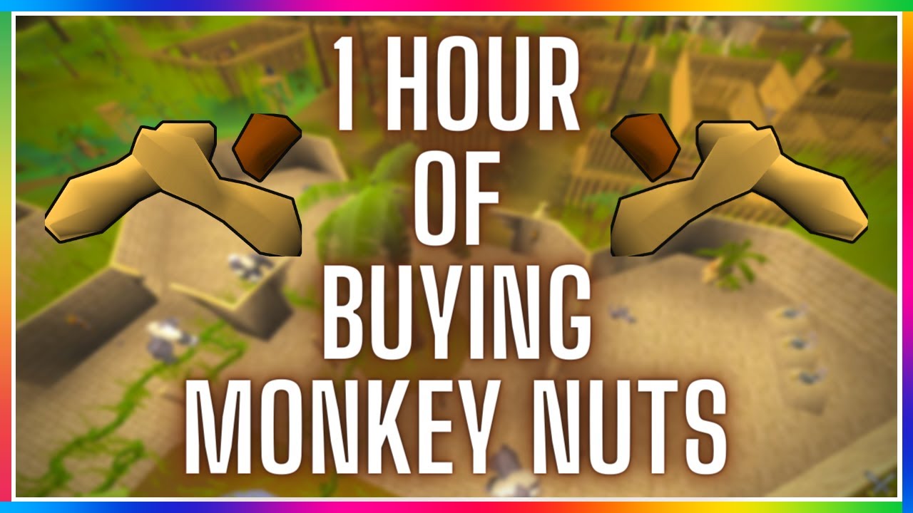 OSRS - Buying Monkey Nuts | Testing OSRS Wiki Money Making Methods | 2021