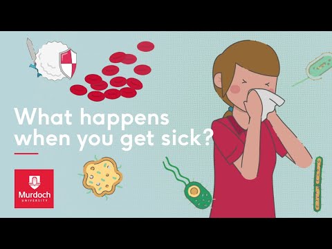 What happens when you get sick?