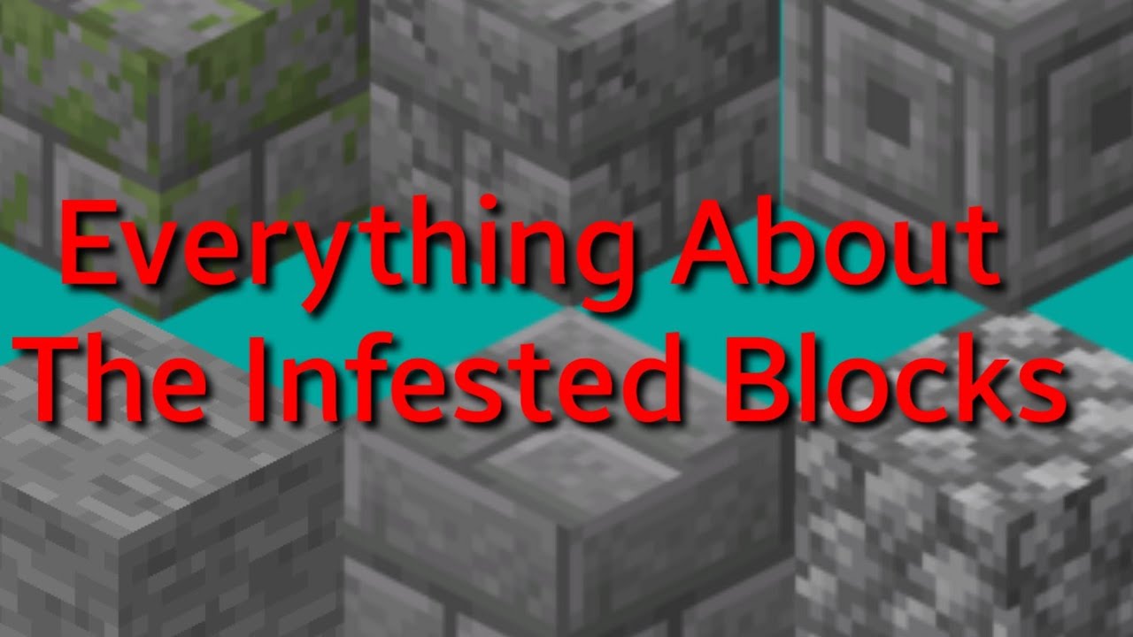 Everything to know about infested stone blocks |sayuj|