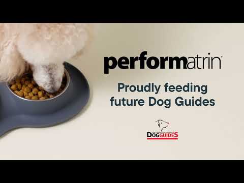 Performatrin | Dog Guides