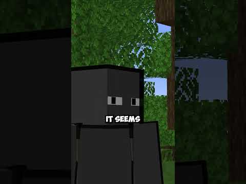 This Minecraft Skin Illusion Always Stares At You