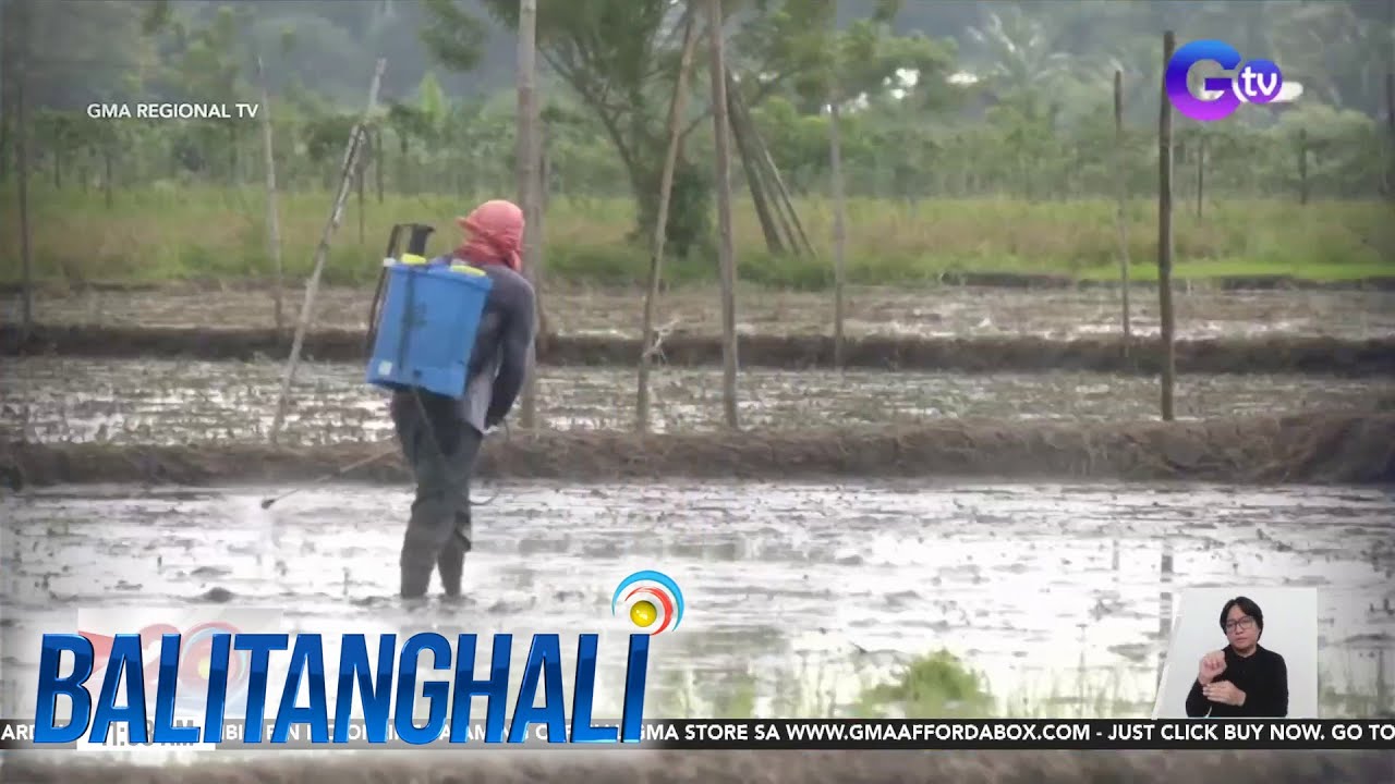 P62/kilong bigas? | Balitanghali
