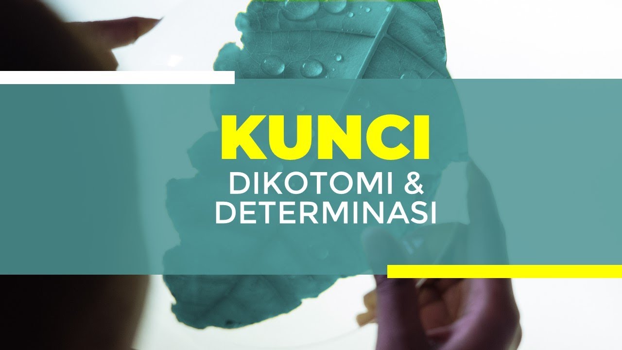 KUNCI DETERMINASI DAN KUNCI DIKOTOMI - IPA KELAS VII SMP / MTS
