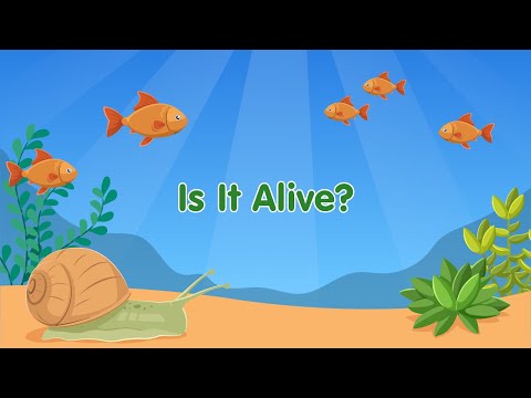 Is It Alive?