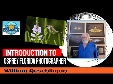 Introduction To Renown Osprey Florida Photographer William Aeschliman