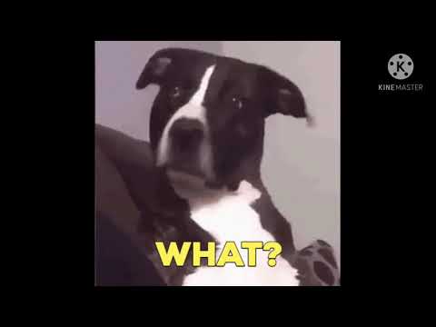 Funny Tenor GIF in your comment ๐
๐
๐
๐
๐
๐